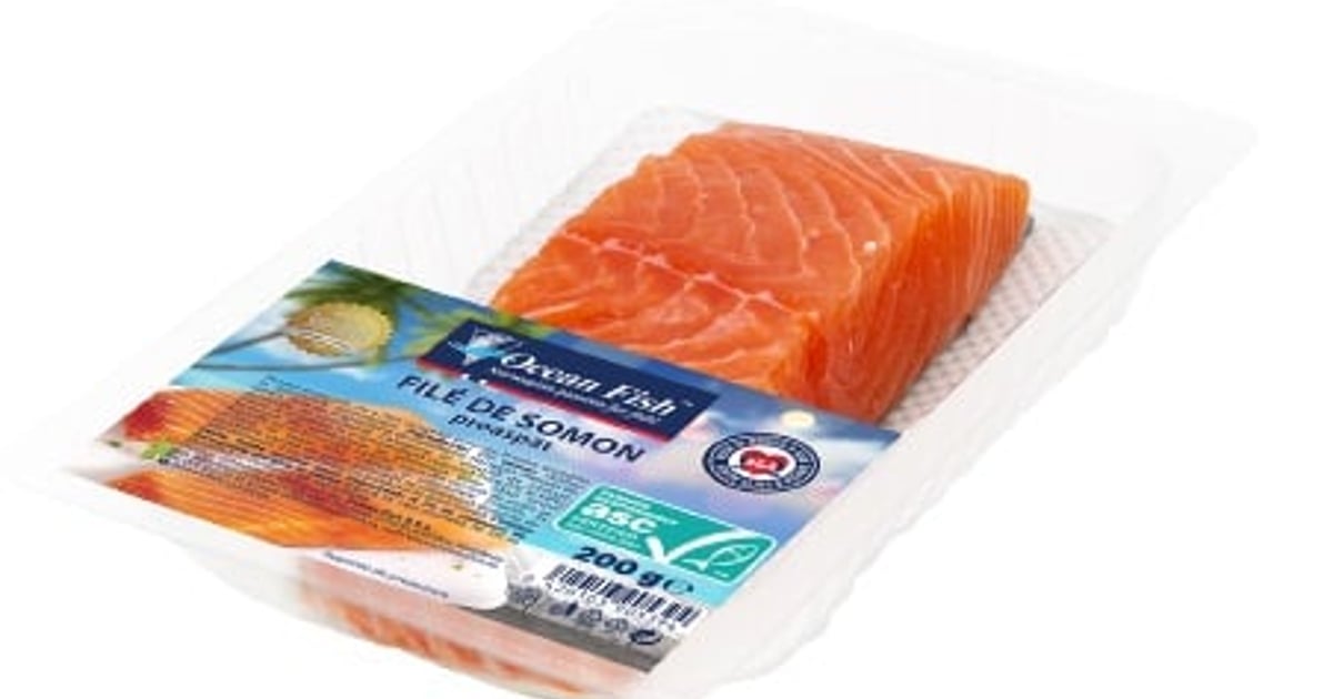 Ocean Fish File de somon