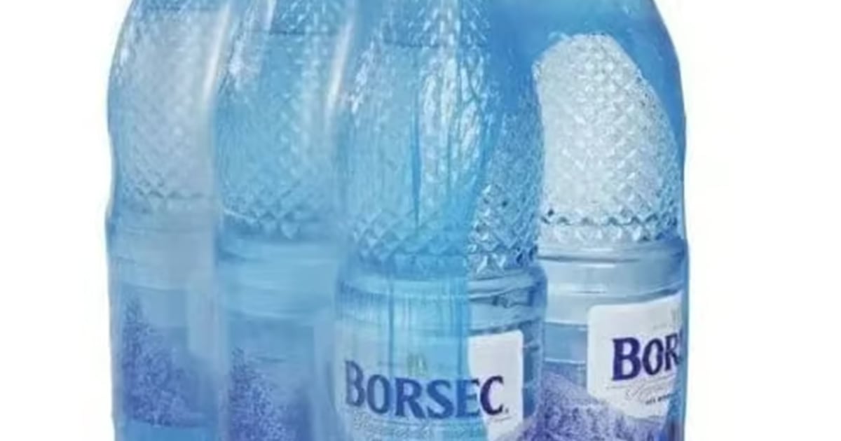 Borsec Apa minerala naturala plata (6x2l)