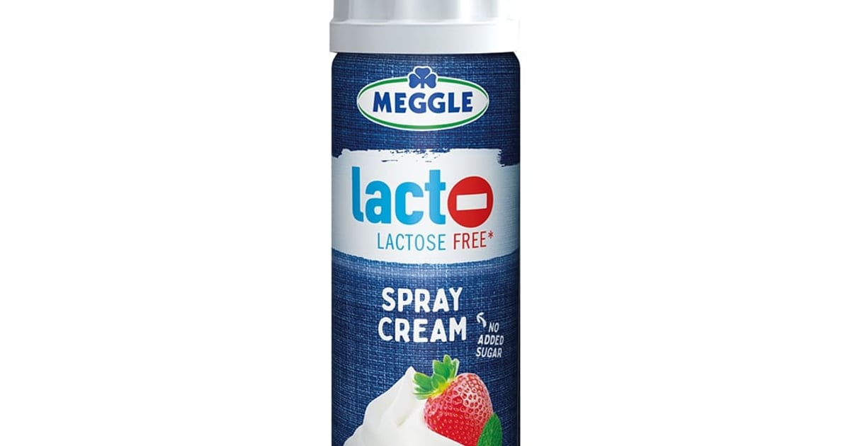 MEGGLE Frisca fara lactoza 22%