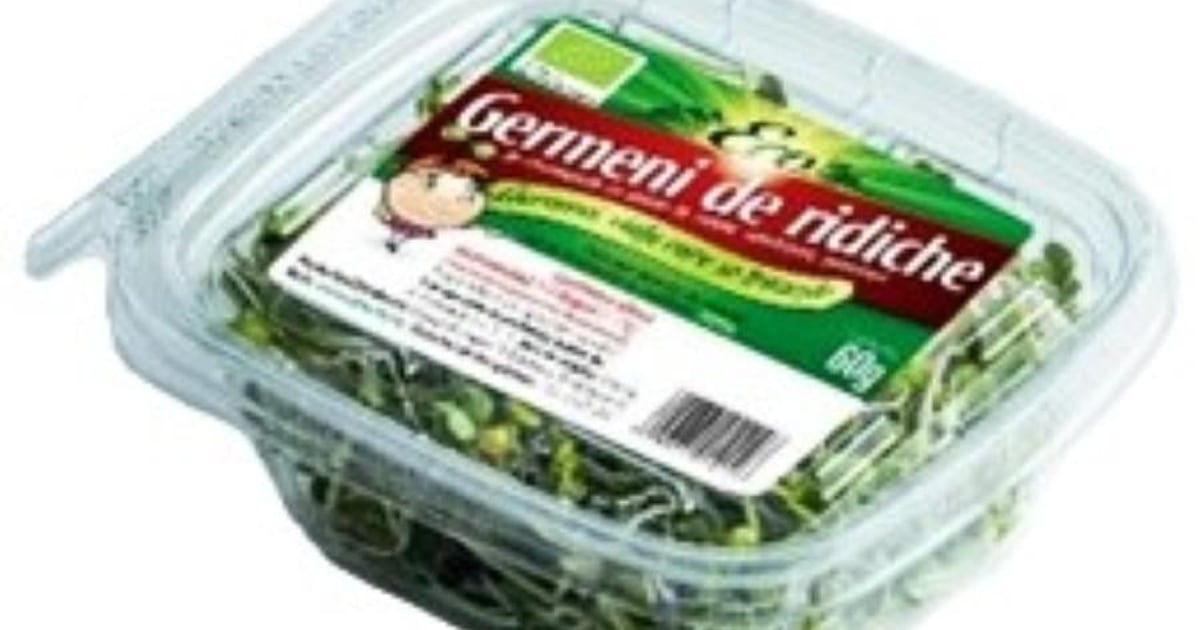 ECO Germeni de ridiche