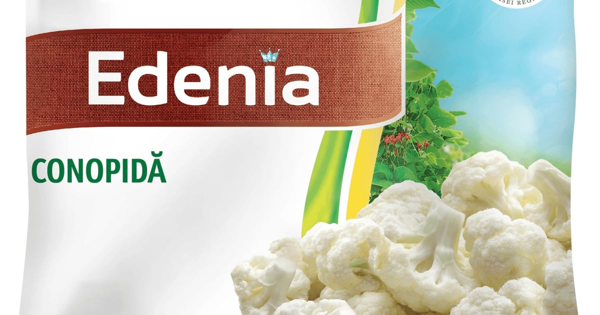 Edenia Conopida