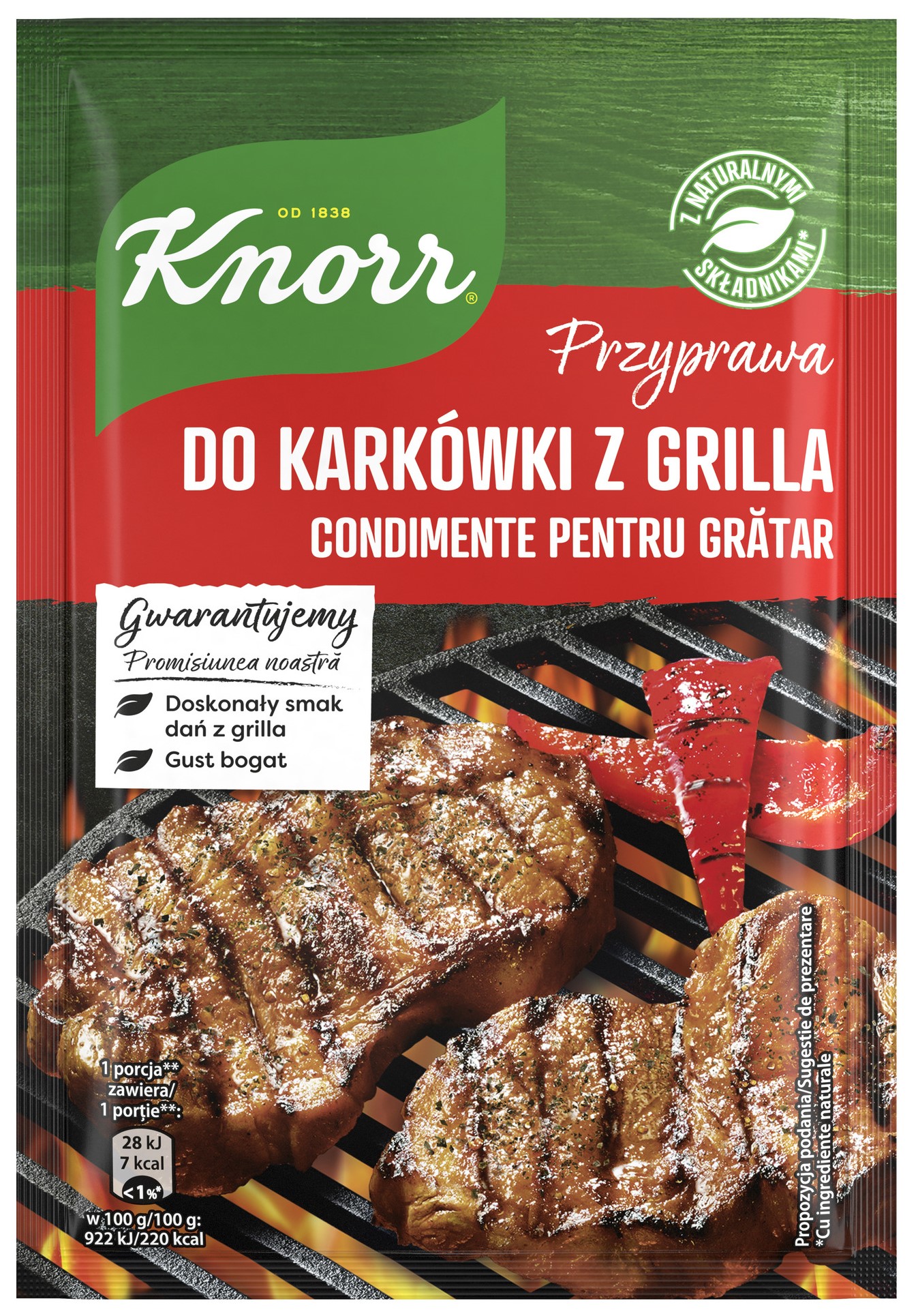 Knorr Condimente gratar