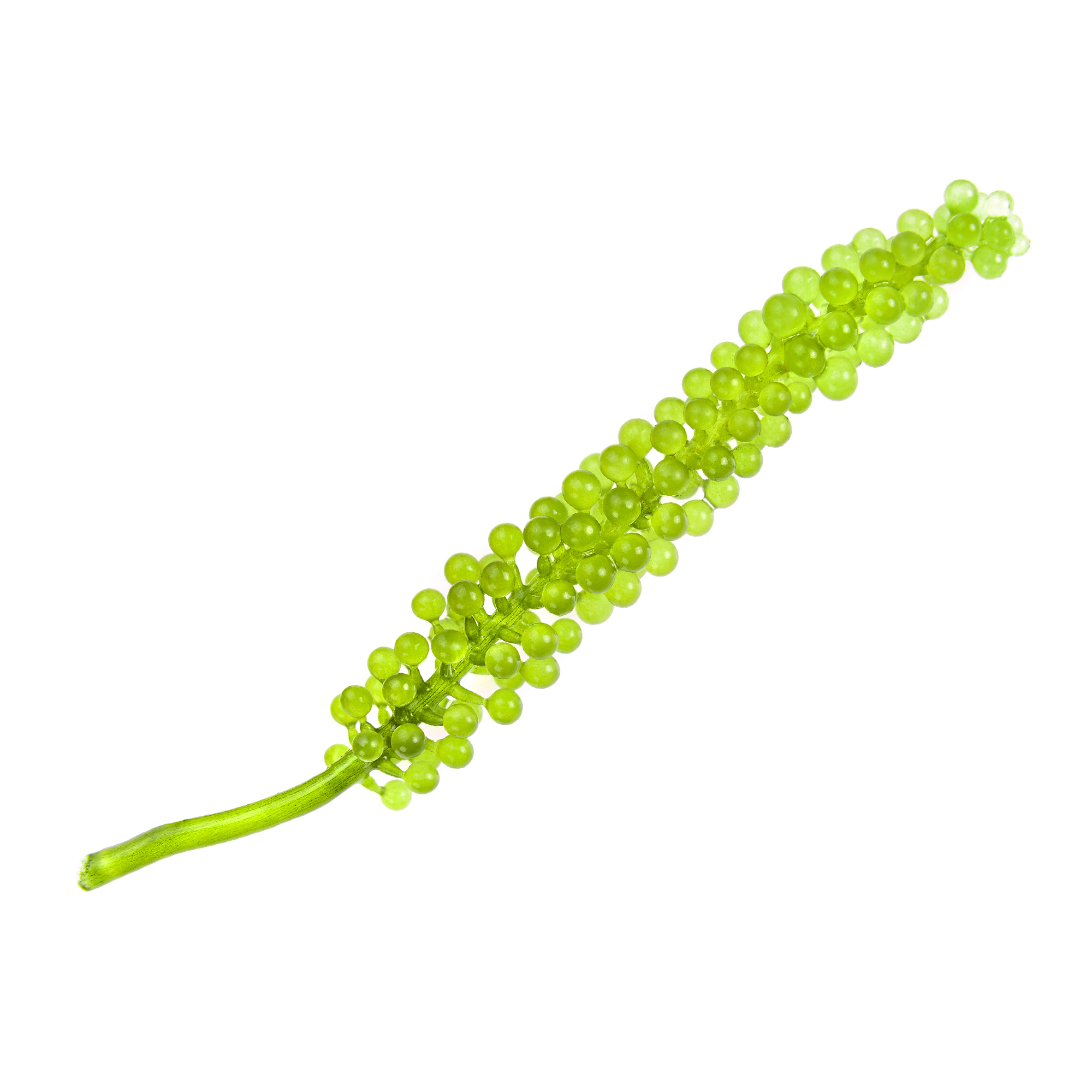 Moai Caviar ( SeaGrapes )