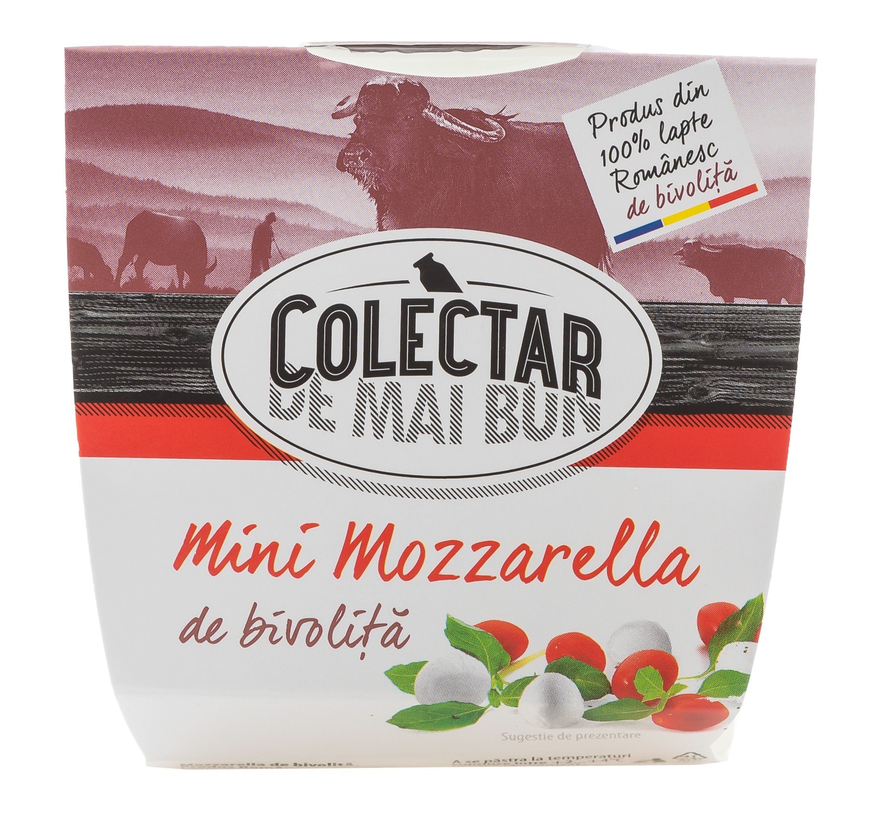 COLECTAR Mozzarella mini de bivolita