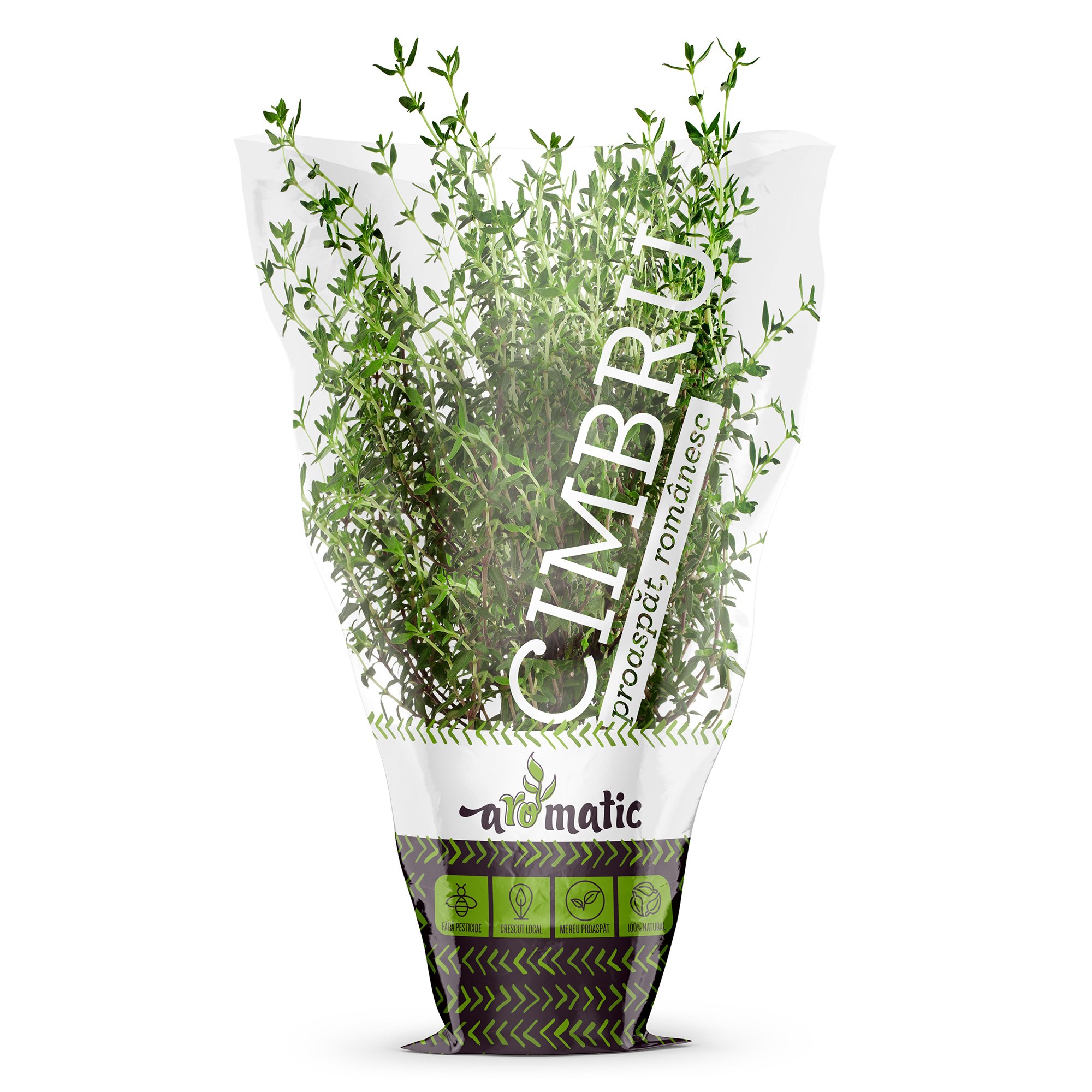 Cimbru in ghiveci biodegradabil